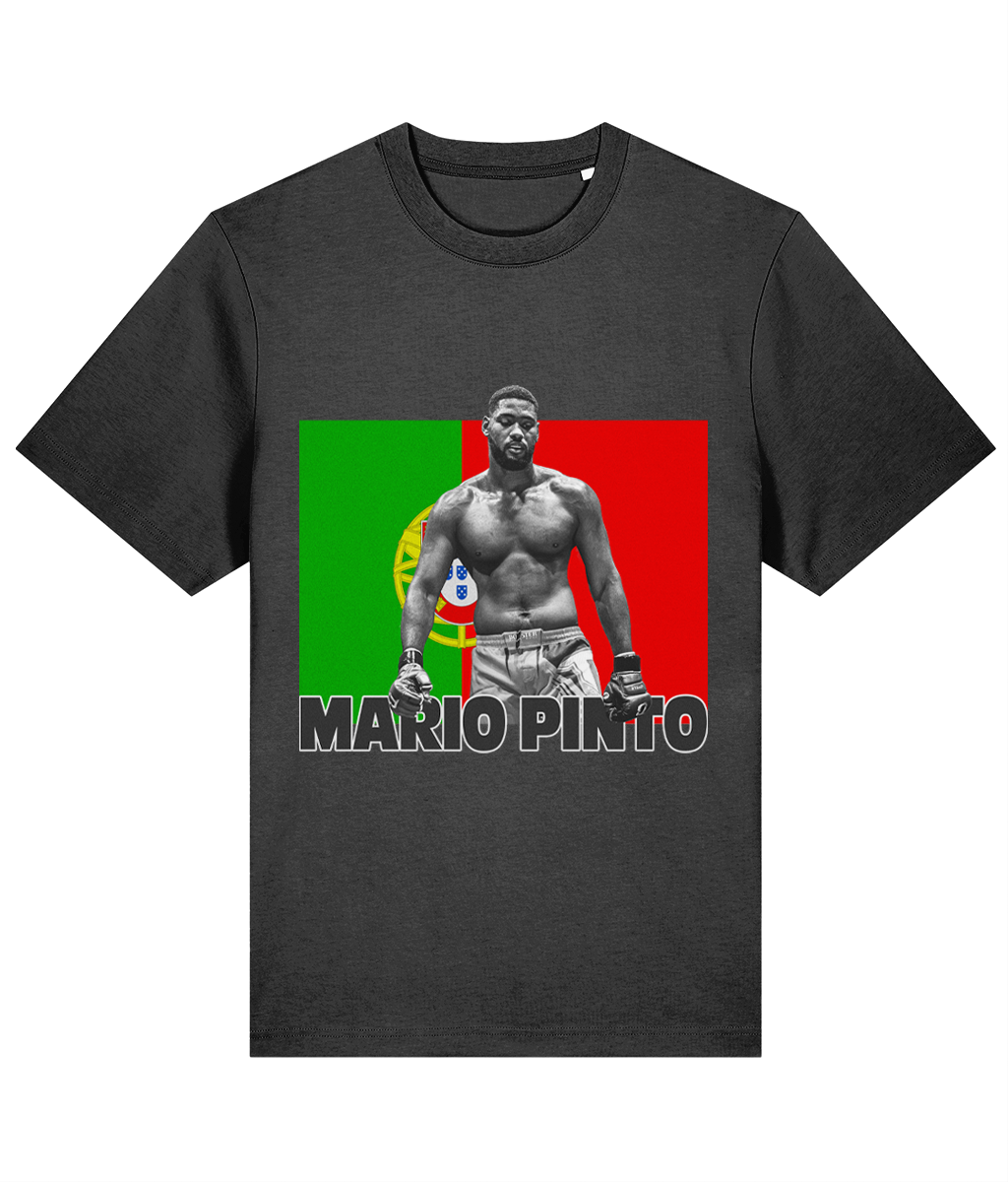 Mario Pinto - Professional UFC Fighter